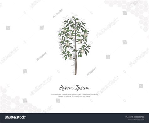 Pear Tree Vector Art Flat Wall Stock Vector Royalty Free 2526513439