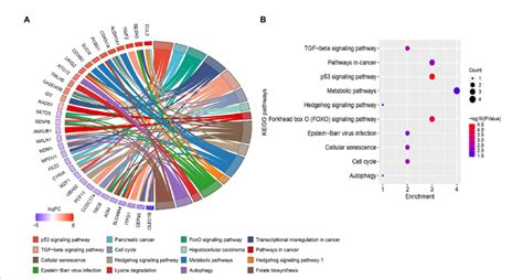 A Circos Plots Of Closely Related Kegg Pathways And Differentially
