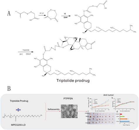 Redox Responsive Self Assembly Peg Nanoparticle Enhanced Triptolide For