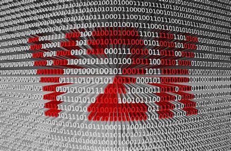 was the y2k bug real or a hoax discover magazine