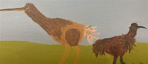 Apterras Summer Of Bugs Has Begun Welcome To The Arthrocene R