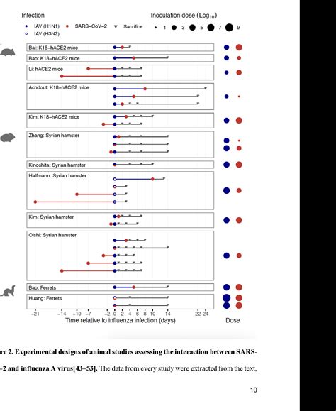 Figure 2 From The Interactions Of Sars Cov 2 With Cocirculating