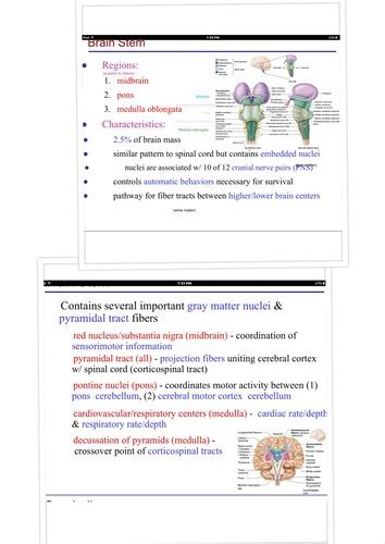 Exam 1 Learning Objectives Flashcards Quizlet
