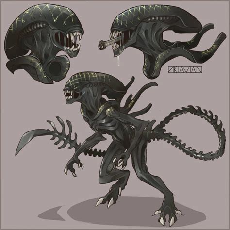 Xenomorph Xnomorphe Artiste Les Aliens