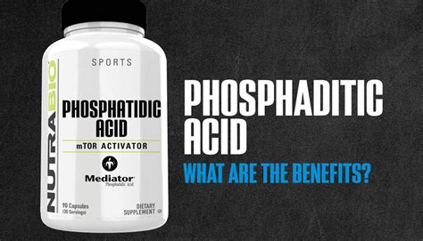 Phosphatidic Acid Exclusive Distributor Of Nutrabio In Thailand