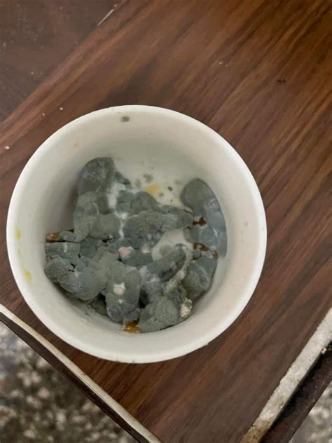 婆婆家冰箱潮濕壞掉不修理，食物都冰到發霉，連老公也是，跟他說這樣孩子吃到會吃壞肚子，他態度卻很不在意 爆料公社