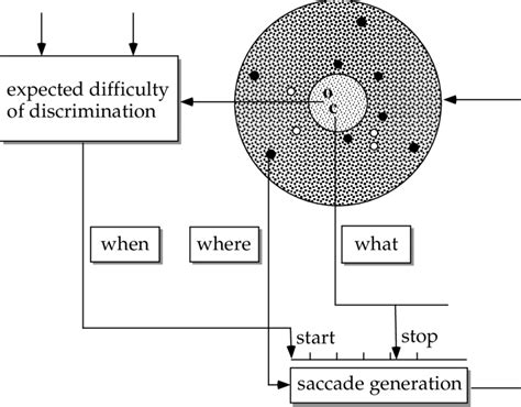 schematic model of visual search including contributions of foveal