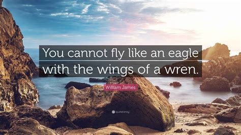 William James Quote “you Cannot Fly Like An Eagle With The Wings Of A