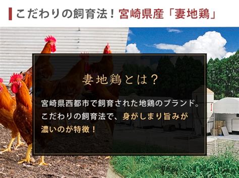 宮崎県産 妻地鶏 炭火焼＆たたきセットの通販｜テレビショッピングならビートップス【公式】