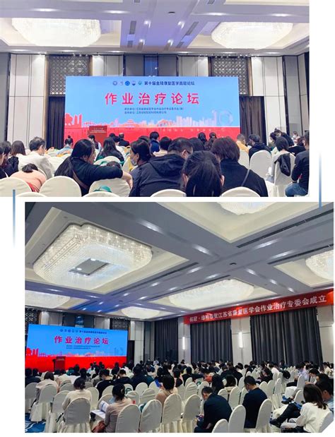 精彩回顾 第十届金陵康复医学高层论坛圆满结束 学术会议 学术分享 江苏绿柏智能科技有限公司