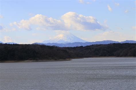 今日の狭山湖 24 殿下のブログ
