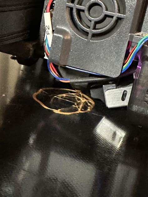 First Layer Not Printing Correctly Not Affecting Print R3dprinting