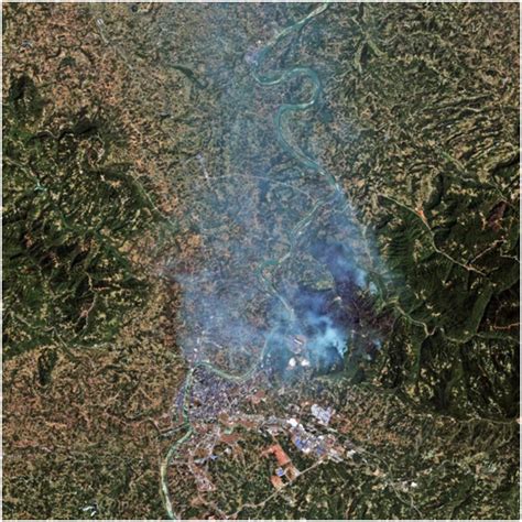 独家卫星影像！鄱阳湖现“大地之树” Linpxing 博客 中药材 一念般若生