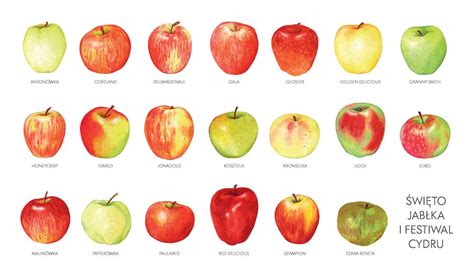 Apples Apple Varieties Fruit Apple