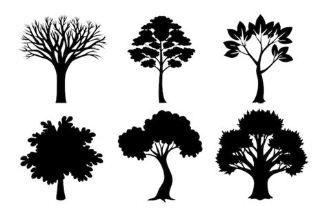 Set Of A Tree Silhouette Premium AI Generated Vector