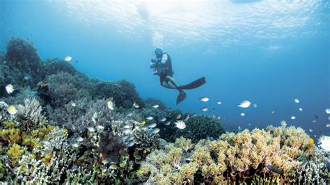 How To Take A Wide Angle Photo Underwater Scuba Diving