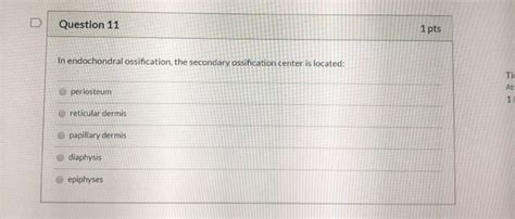 Solved D Question 11 1 Pts In Endochondral Ossification The