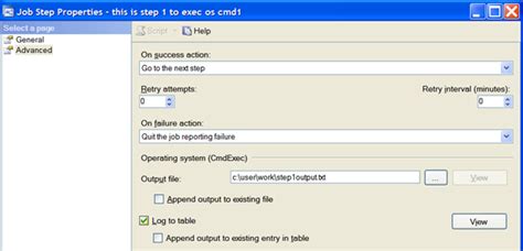 Mssql Call Script—integrate With Sql Server Agent