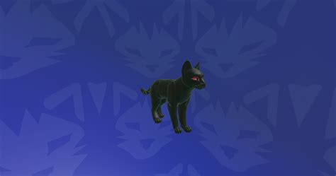 Amusement Npc Wcue Wiki Fandom