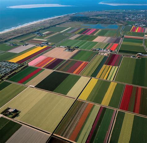 გამომწერთა რჩეული ფოტოები