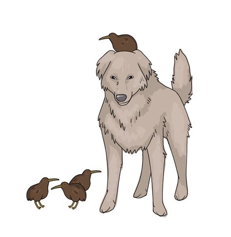 The Big Imageboard Tbib 2020 Ambiguous Gender Beak Biped Brown Body
