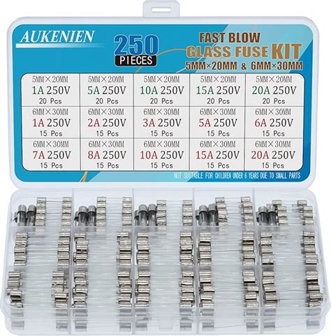 AUKENIEN 250 Stück Glassicherung Set 5x20 mm 1A 5A 10A 15A 20A 250V 6