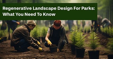 Regenerative Landscape Design For Parks What You Need To Know