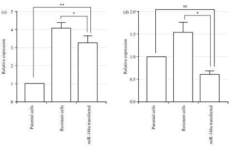 Upregulation Of Microrna 146a Increases The Sensitivity Of Cisplatin