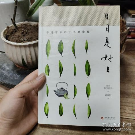 日日是好日 茶道带来的十五种幸福 森下典子 作者夏淑怡 译者 孔夫子旧书网
