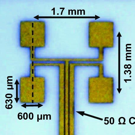 Layout Of The Patch Array Download Scientific Diagram