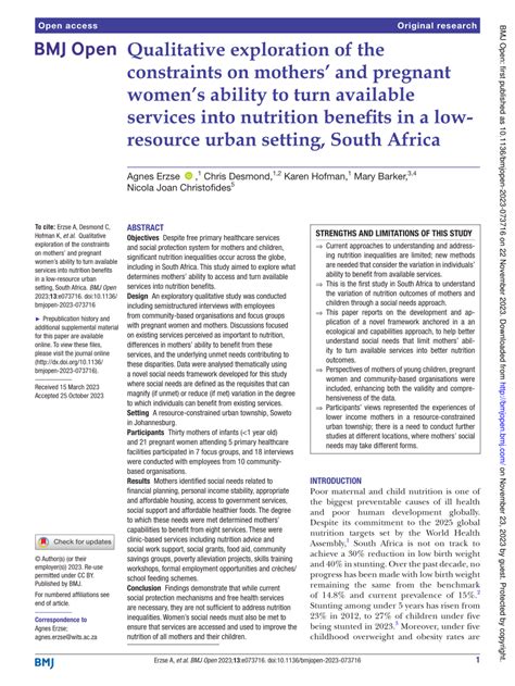 Pdf Qualitative Exploration Of The Constraints On Mothers And