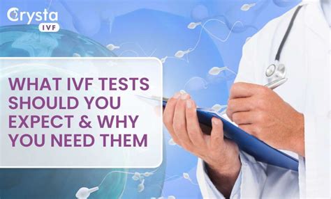 IVF Tests Performed Before Undergoing IVF