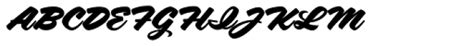 Aloha Script Font Script Decorative What Font Is