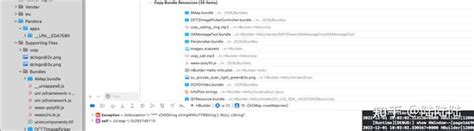 当前运行的基座不包含原生插件 Mapsearch 知乎