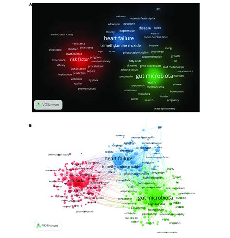 Visualization Of Keyword Co Occurrence Analysis From 2006 To 2021 Download Scientific Diagram