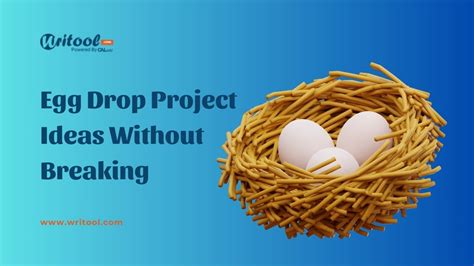 Egg Drop Project Egg Drop Behance