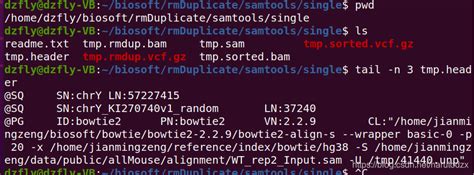 生信学习——linux必做20题（附详细答案解读）生信学习——linux20 Csdn博客