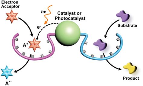 Schematic Enhancement Of Catalysis And Photocatalysis Induced By Download Scientific Diagram
