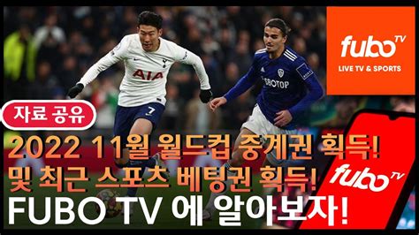 2022년 11월 월드컵 중계권 획득과 스포츠 베팅권 획득한 푸보tv에 대해 알아보자 Youtube