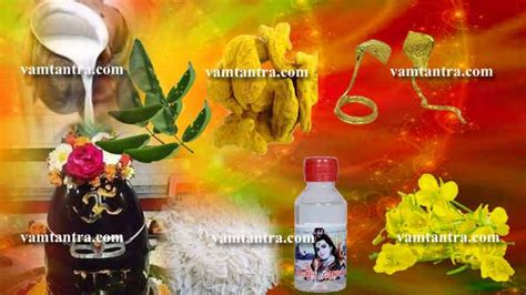 Vasuki Kaal Sarp Dosh Remediesrahu In 3rd House And Ketu In 9th House