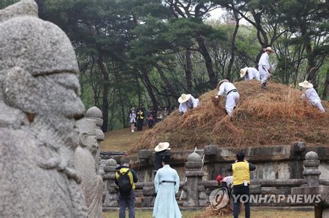 청완 예초의…한식날 태조 이성계 무덤 건원릉 억새 베기 연합뉴스
