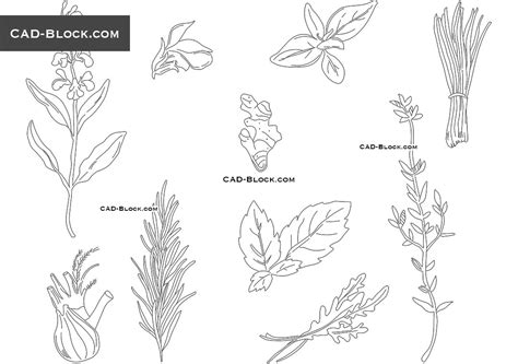 Culinary Herbs Cad Blocks Dwg File