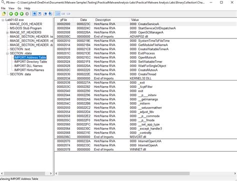 Lab 12 Practical Malware Analysis