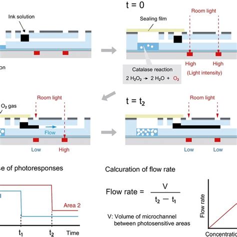 Schematic Illustration Of C Lisa For Crp Quantification A