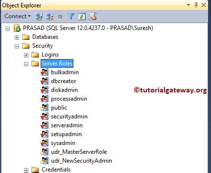 Create SQL Server Roles