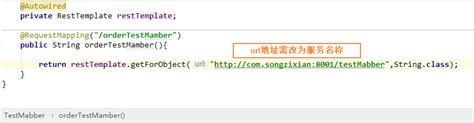 Spring Cloud报错No instances available for localhost解决 宋子宪博客