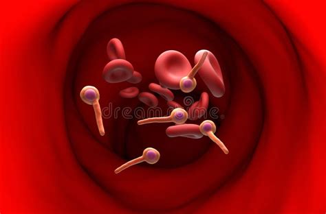 Clostridium Tetani Bacteria Tetanus Neurotoxin 3d Illustration Section View Stock