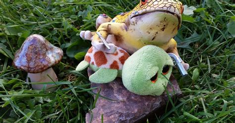 The Bullying Toad I Got This
