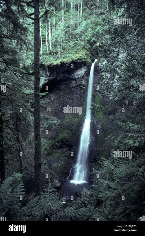 Marymere Falls Is A Waterfall Located In The Olympic National Park Near