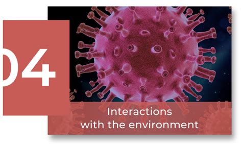 Tetraspanin Enriched Membrane Microdomains In Extracellular Vesicles